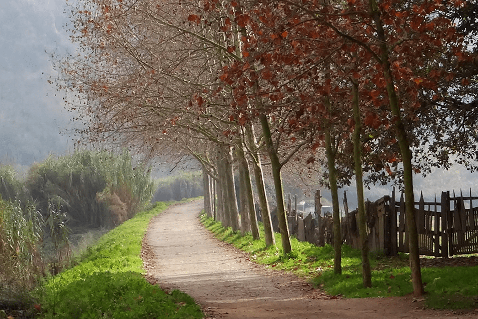 Descobreix el rodal de Sabadell | Secció Natura | Unió Excursionista de ...